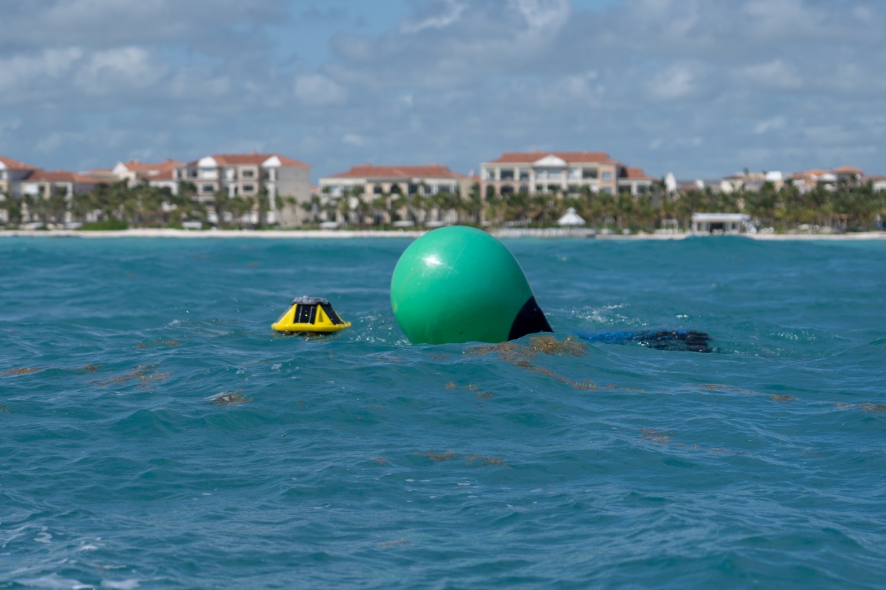 Inicio | Autoridad Nacional de Asuntos Marítimos (ANAMAR)
