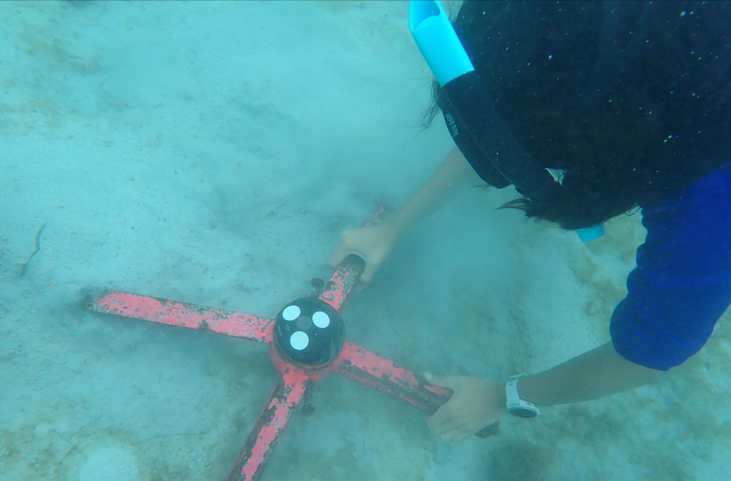 Inicio | Autoridad Nacional de Asuntos Marítimos (ANAMAR)